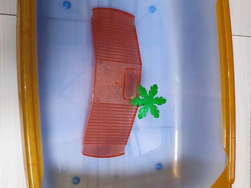 Два бассейна для черепашки