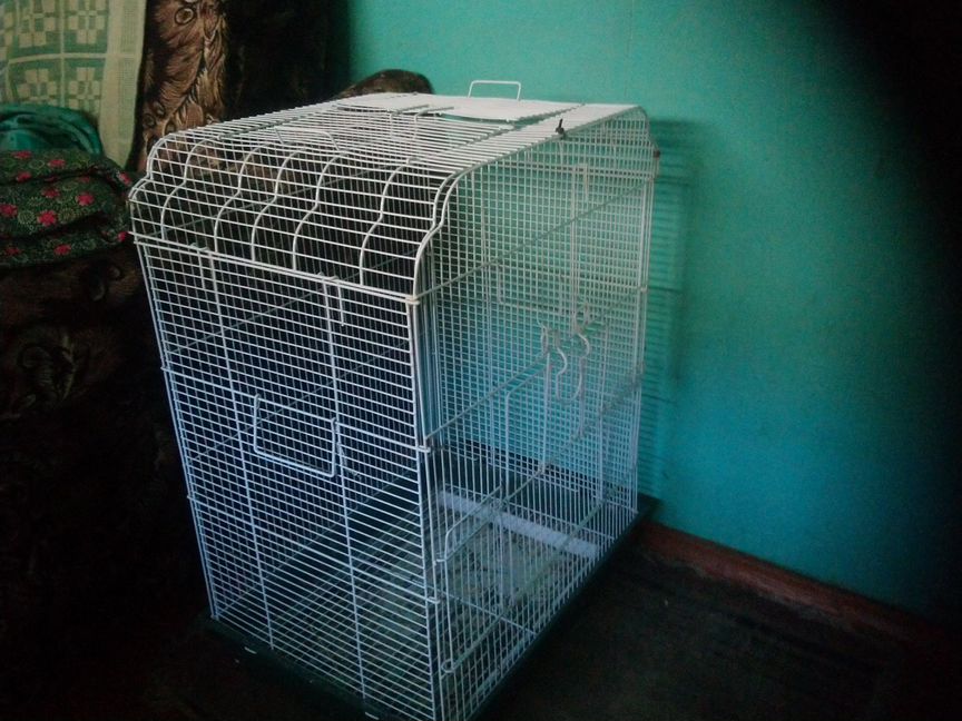 Большой вольер для птиц