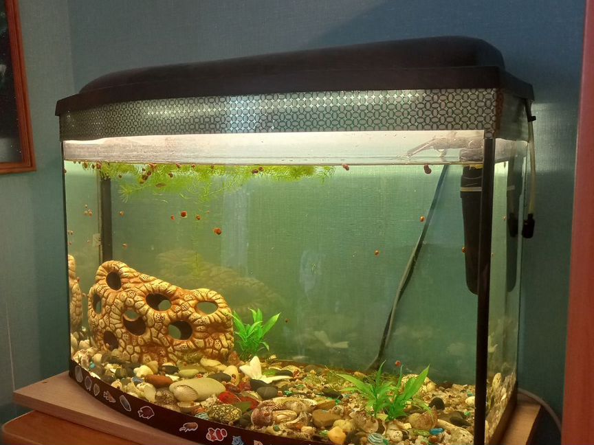 Аквариум 60х40х30/23