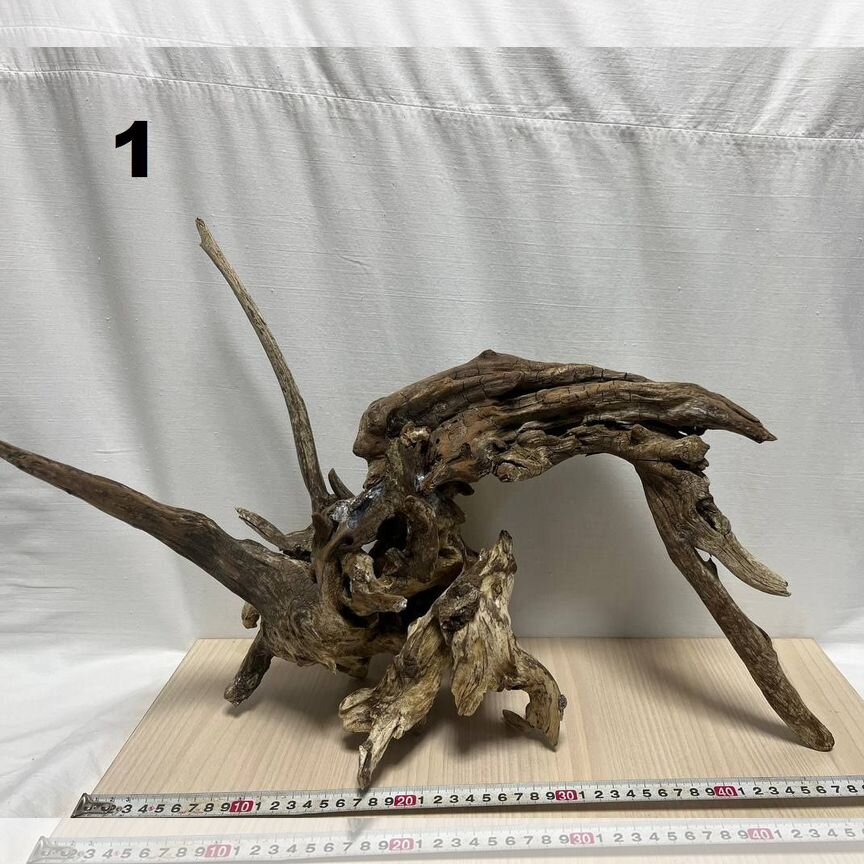 Продажа мангровых коряг