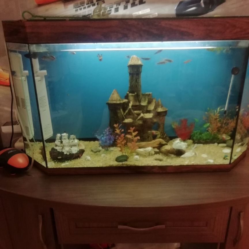 Аквариум