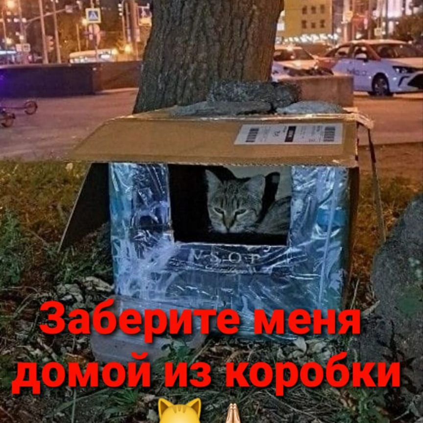 Заберите