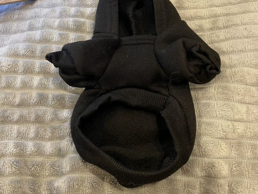 Кофта для котенка