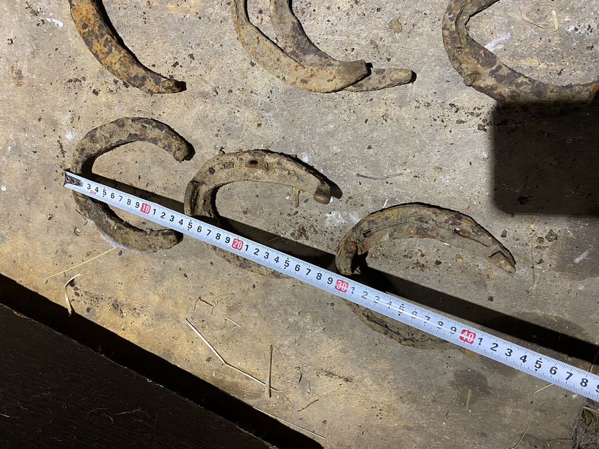 Подковы СССР