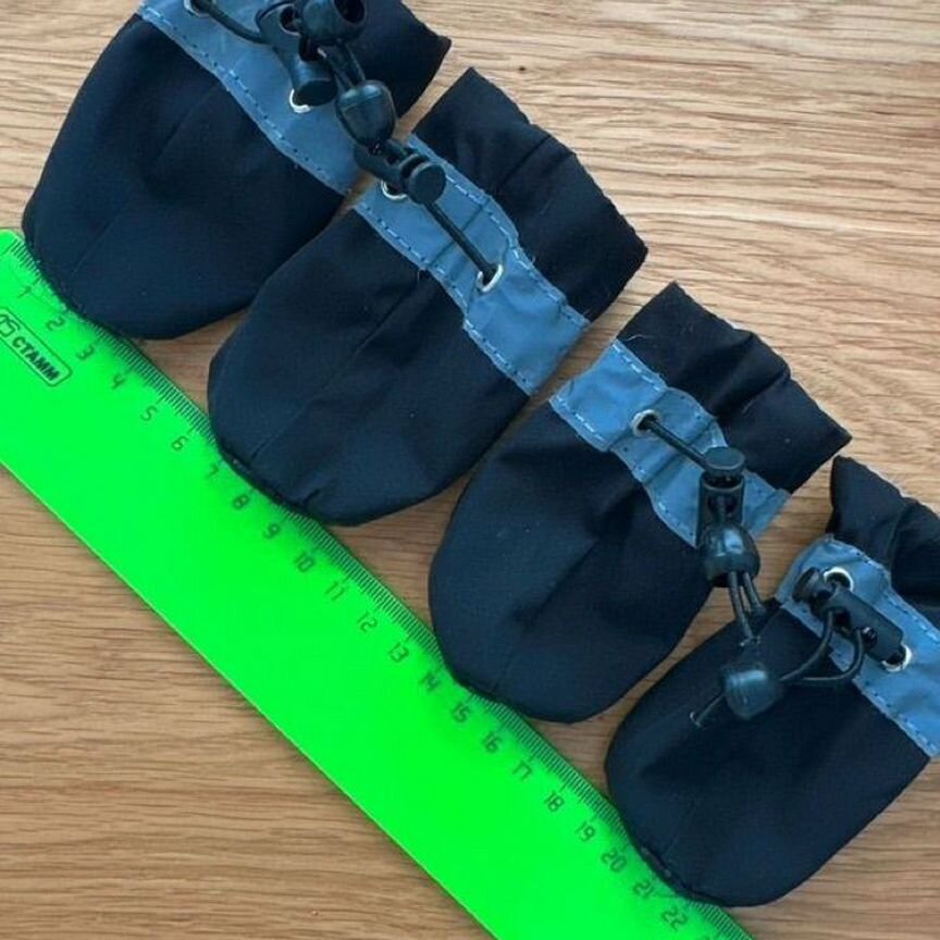 Обувь тапочки для собаки