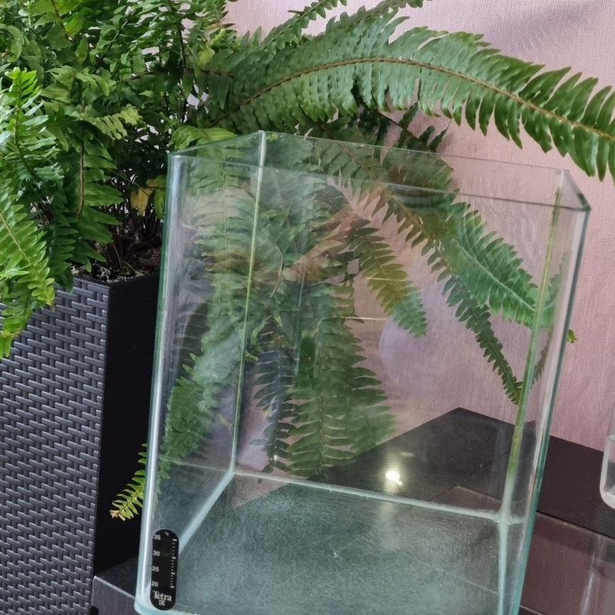 Панорамный аквариум нанокуб