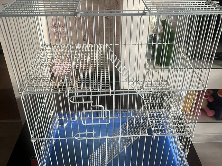 Клетка для грызунов бесплатно