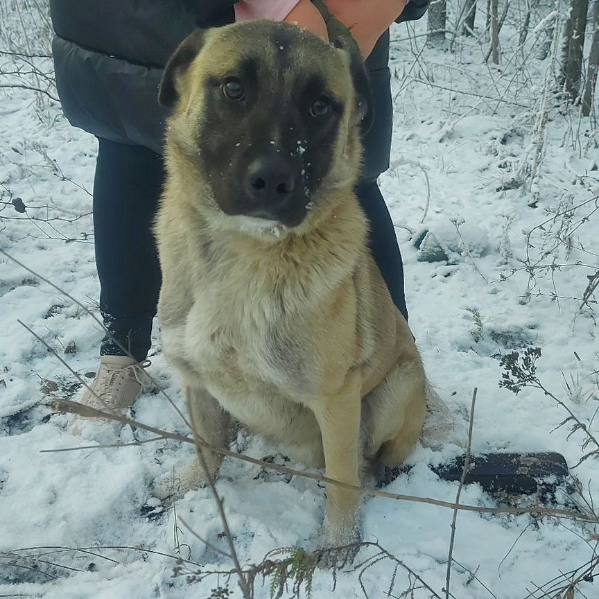 Мишеньке нужна семья
