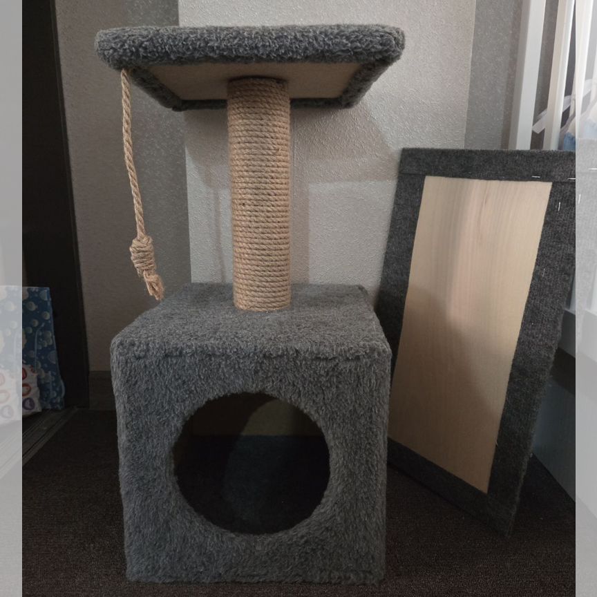 Когтеточка