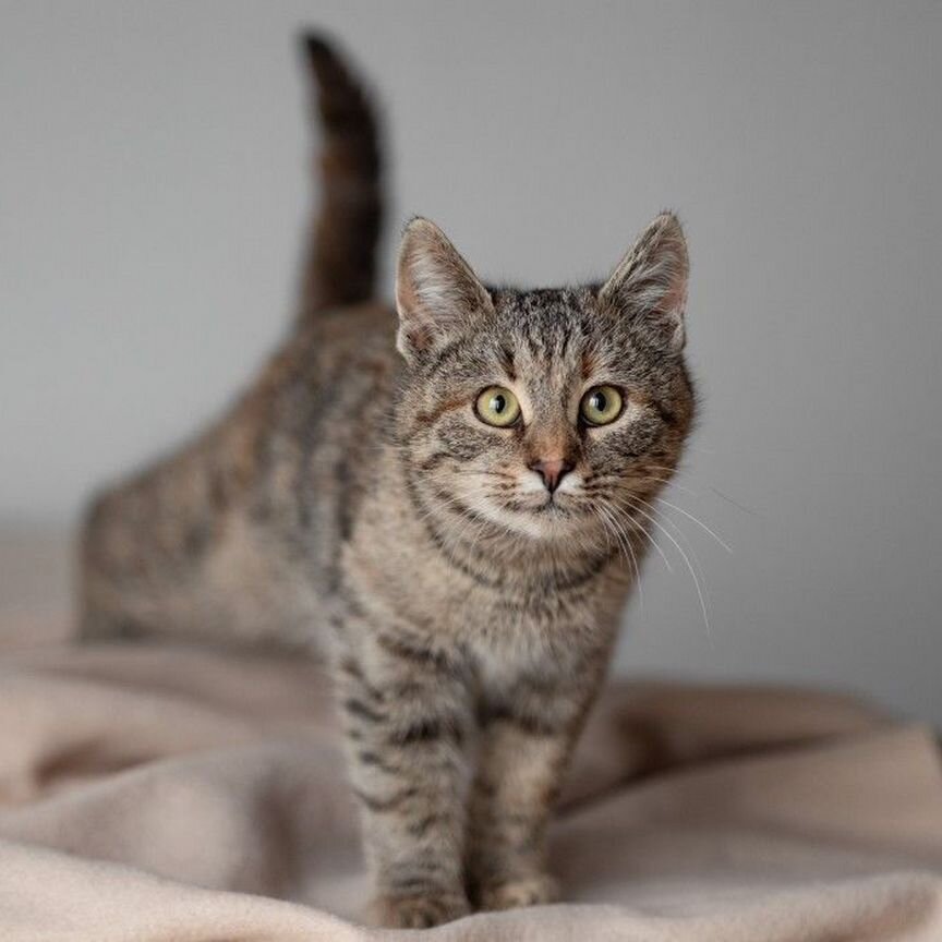 Брошена на голодную смерть