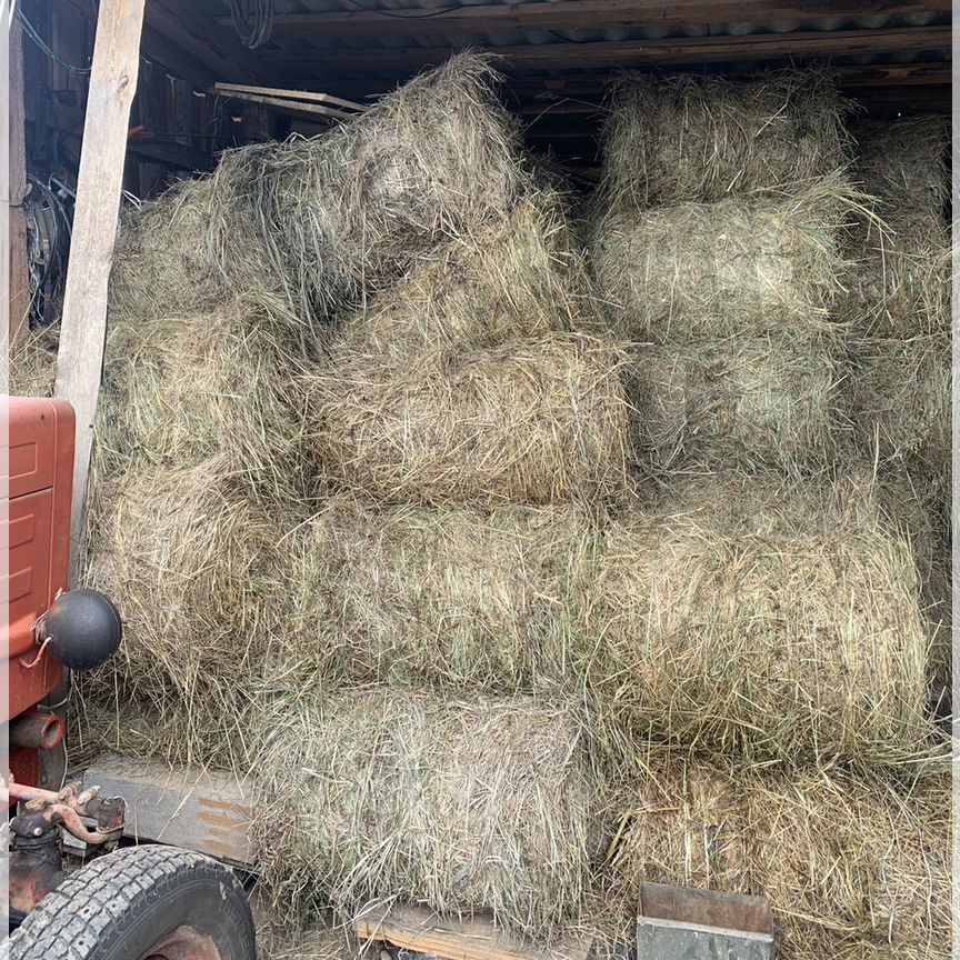 Сено в тюках