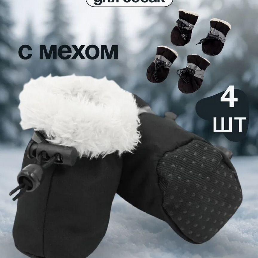 Обувь для собак