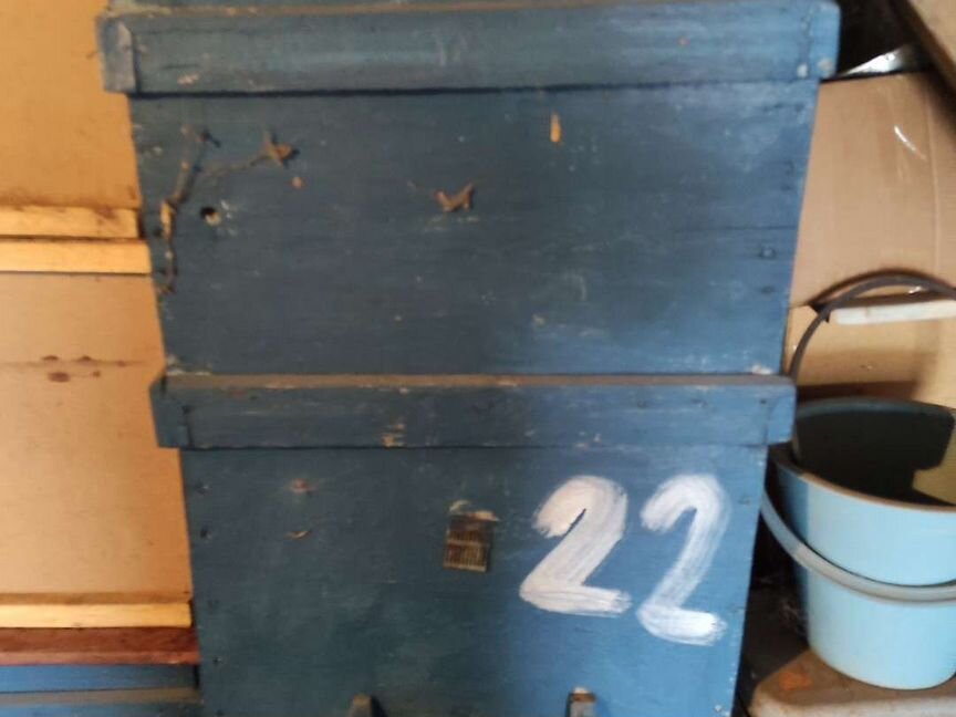 Улики для пчел