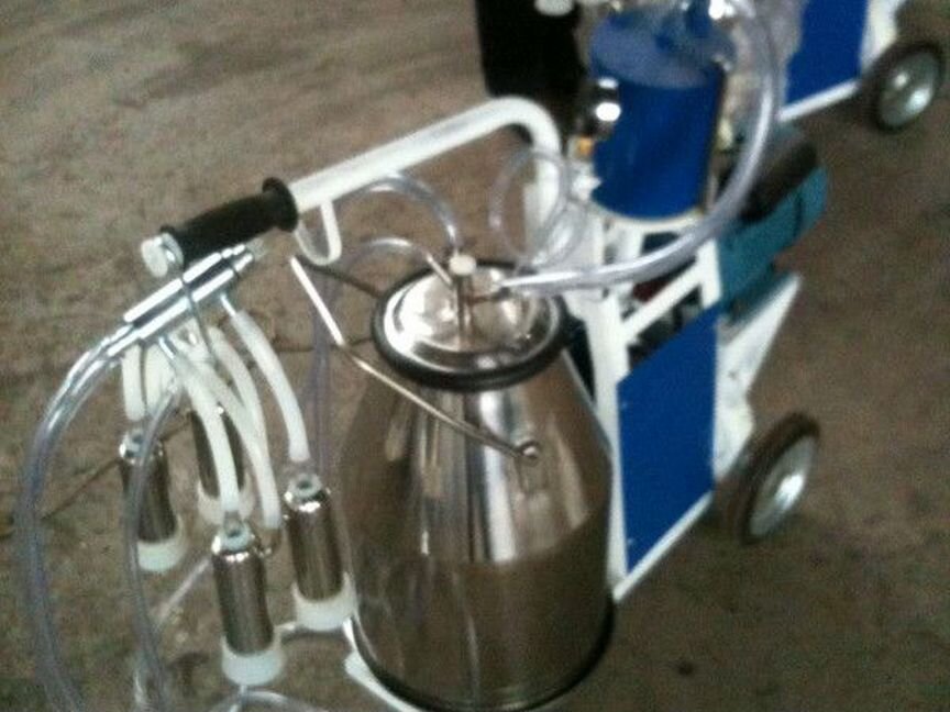 Доильный аппарат Милка коллектор Vessen