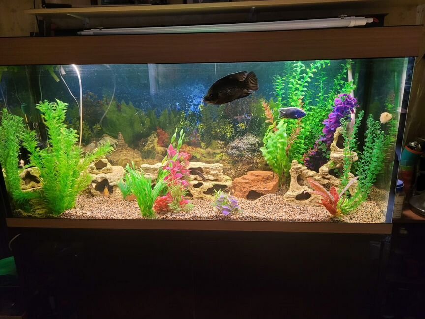 Аквариум с тумбой 500 литров