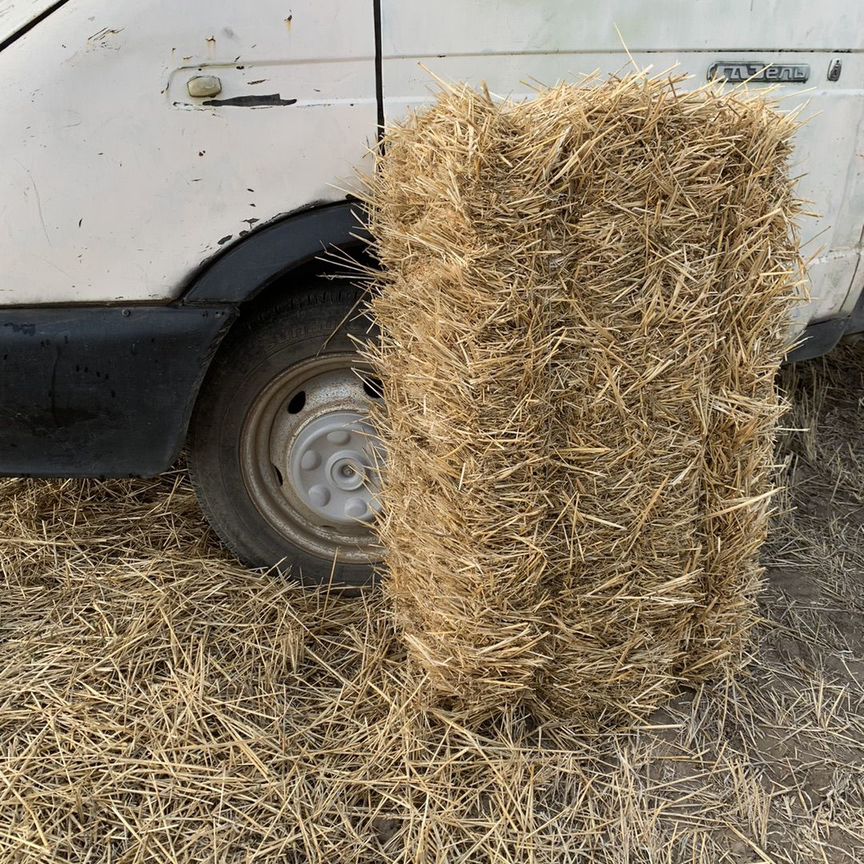 Салома в тюках