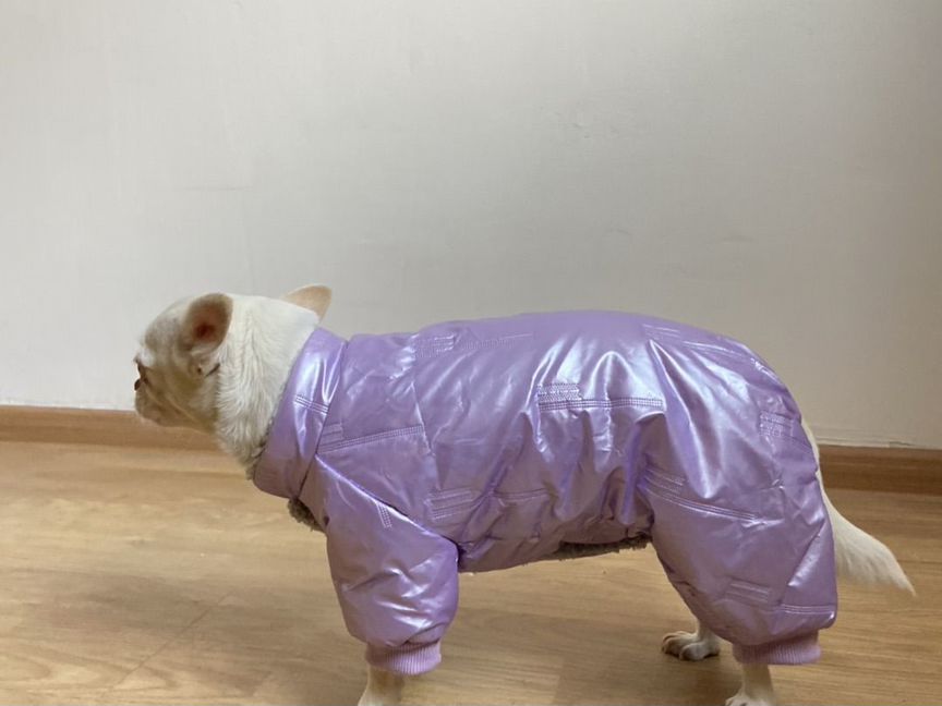 Пуховик для собаки (девочка,m)