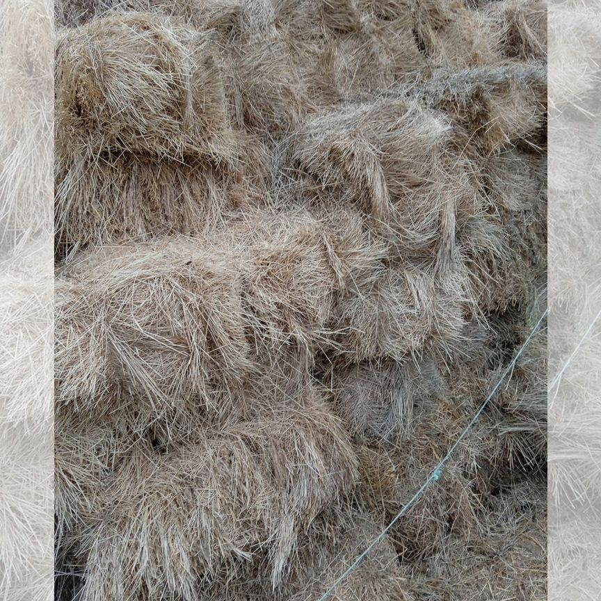 Сено разнотравие