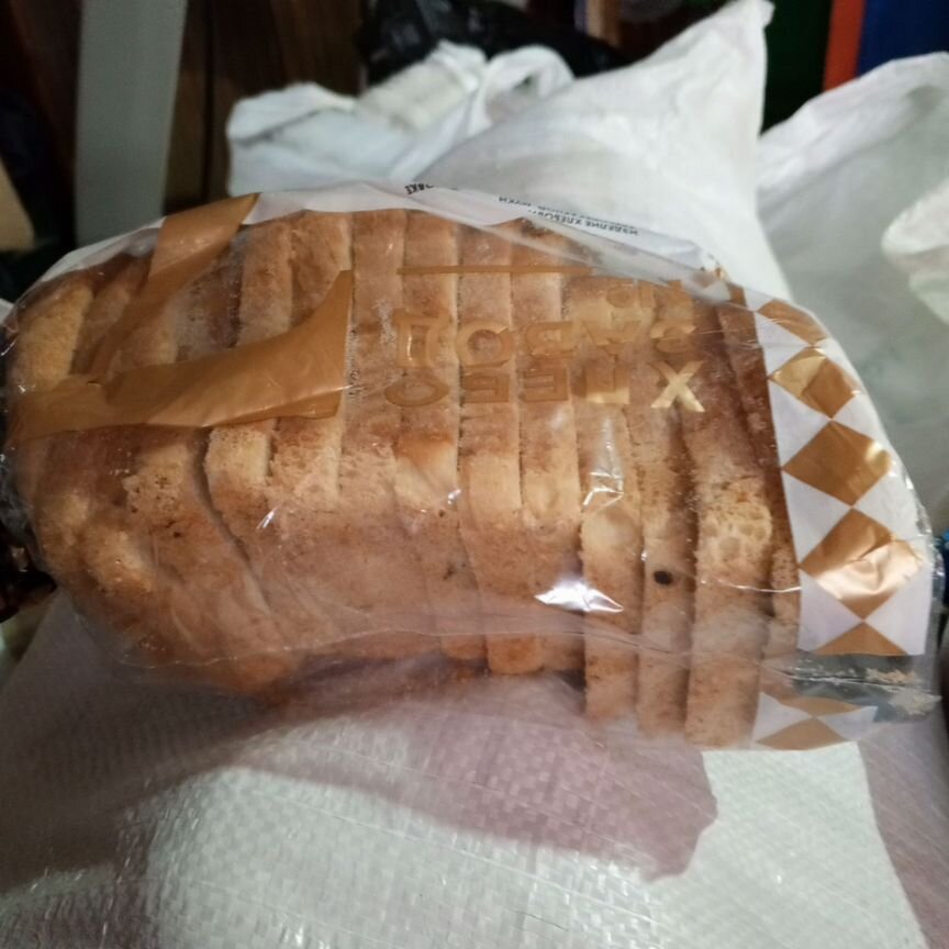 Хлеб. Поросята