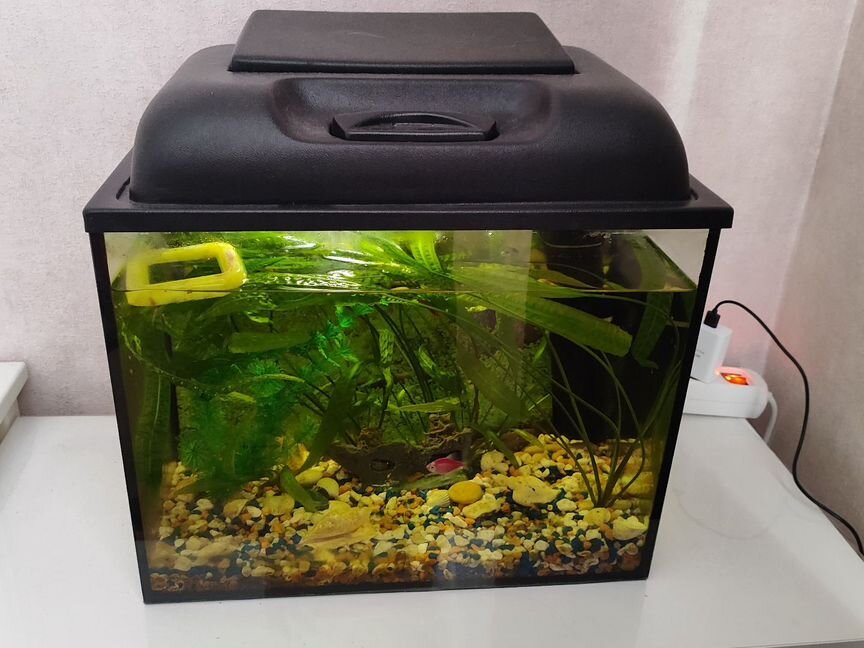 Действующий аквариум 35 л