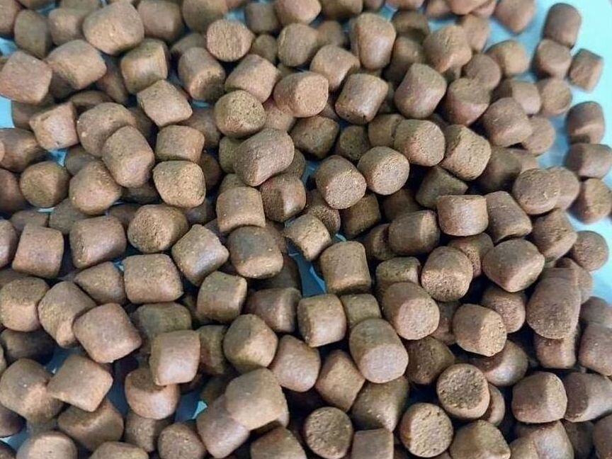 Корм для карпа