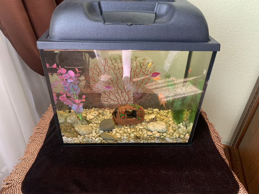 Готовый авкариум 30л