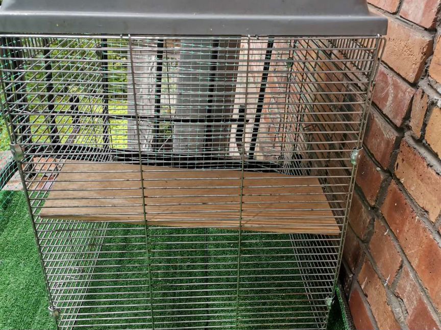 Клетка для грызунов бу