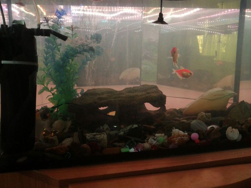 Украшение для аквариума