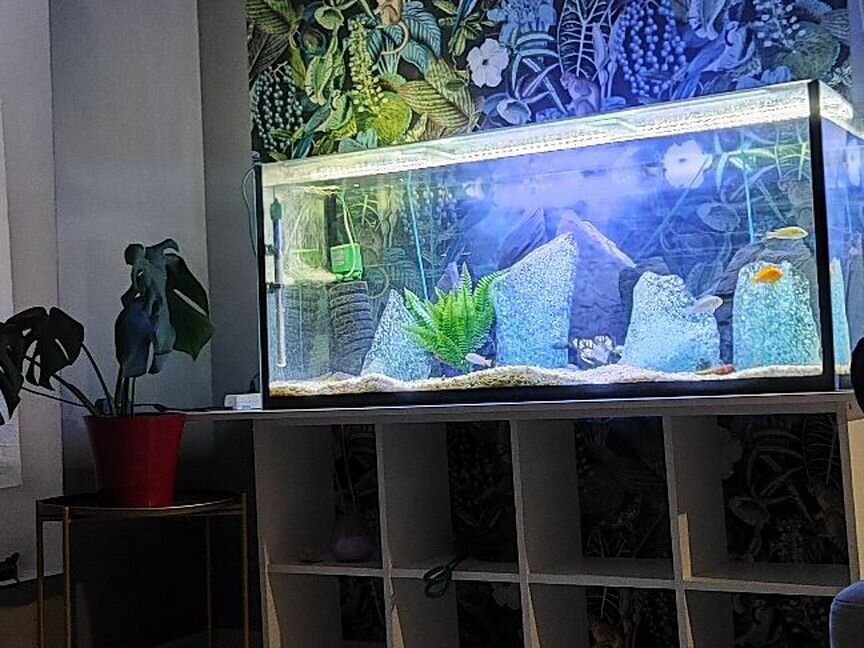 Аквариум на 300 литров