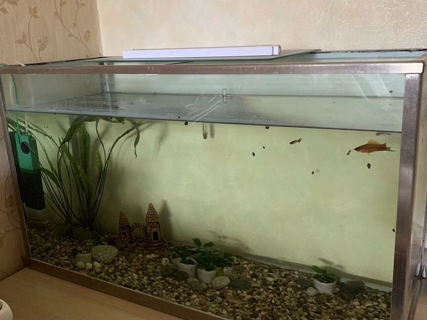 Аквариум 145л