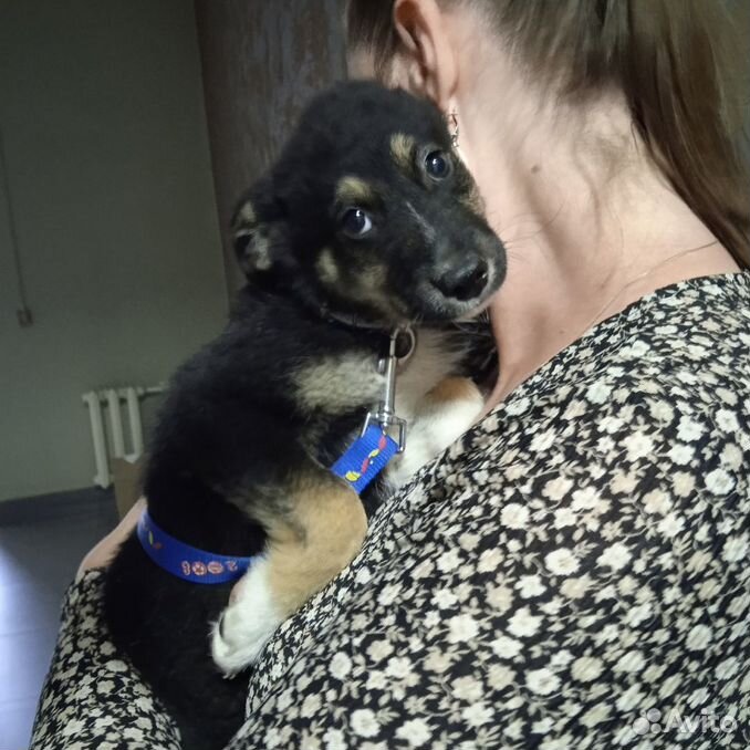 Нежная спокойная Малышка в самые добрые руки