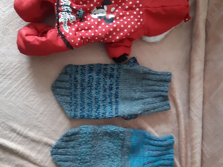 Ошейники, одежда для собак