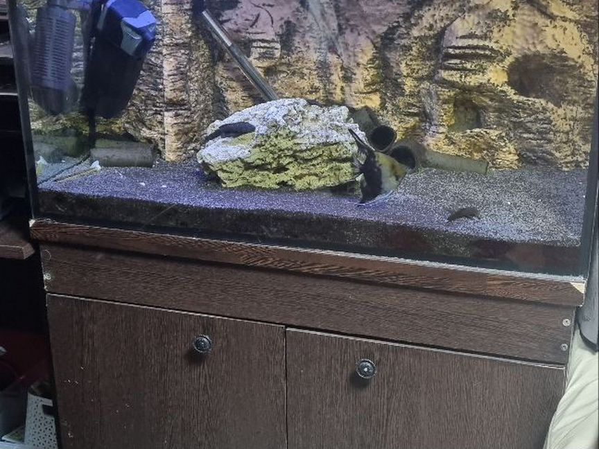 Аквариум с тумбой 300 литров + самп 120 литров