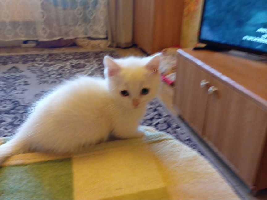 Манчкины