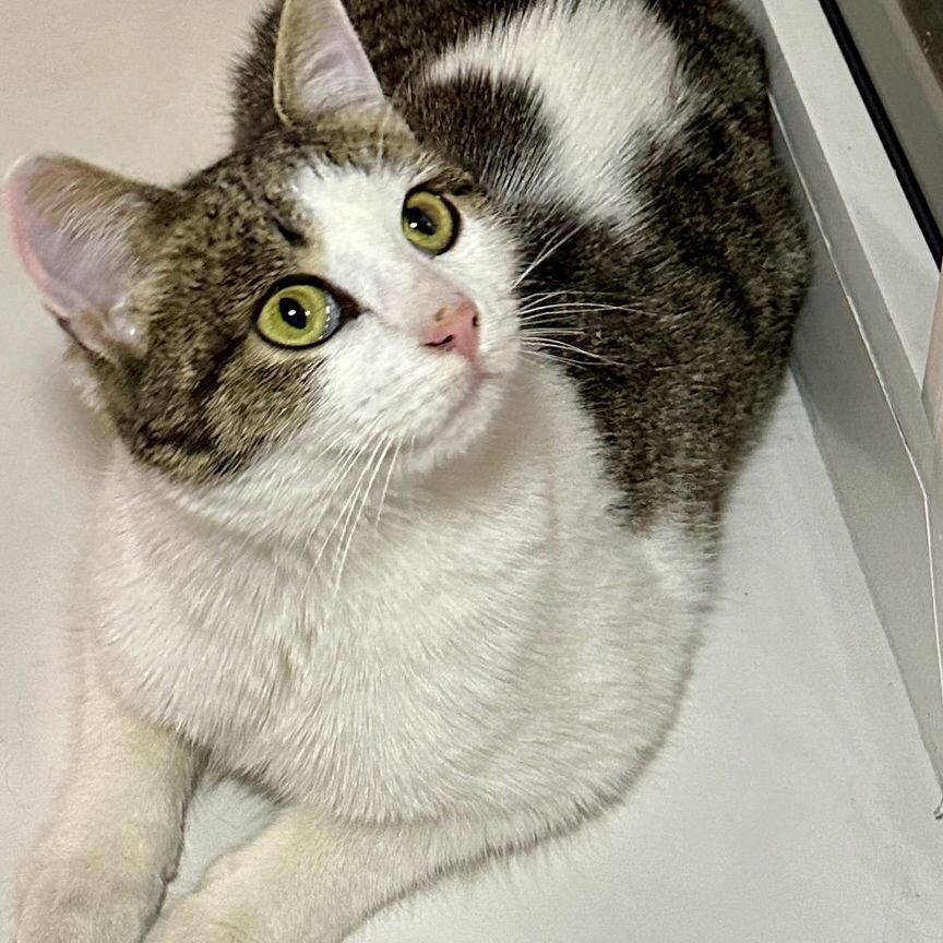 Маленькая Серафима