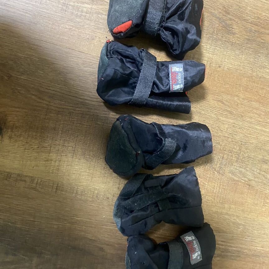 Тапочки для собаки средних пород