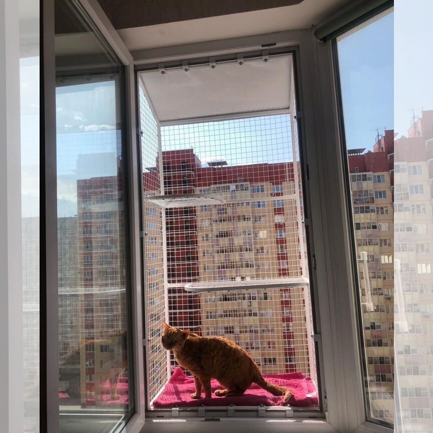 Балкон для кошек