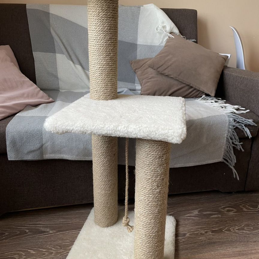 Когтеточка