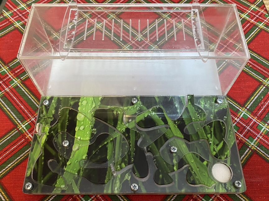 Муравьиная ферма