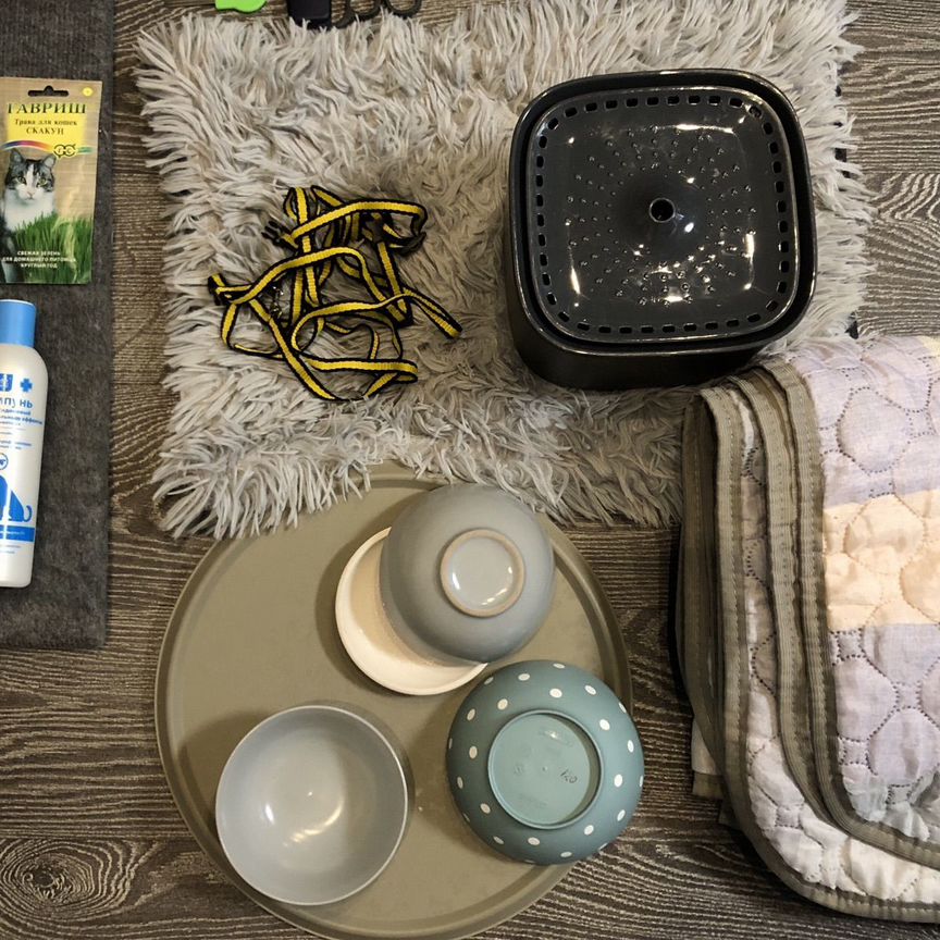 Набор вещей для кошек