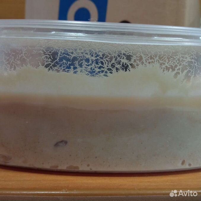 Живой корм для мальков аквариумных рыбок