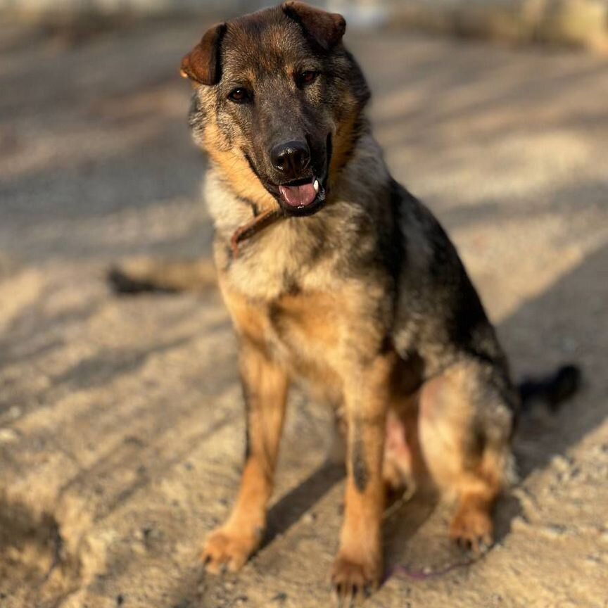 Я тучка,тучка,тучка,вовсе не медведь