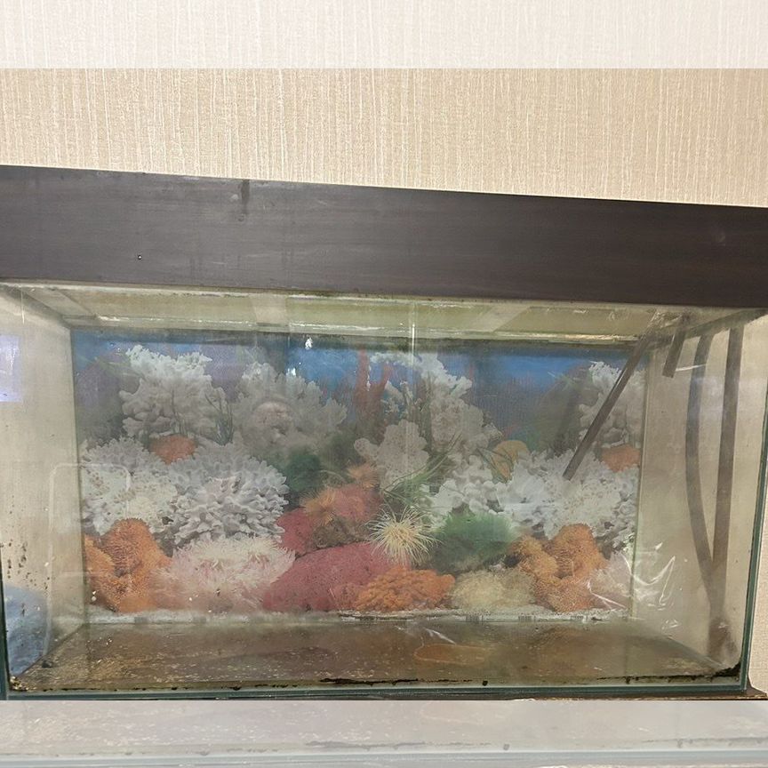 Аквариум для рыб