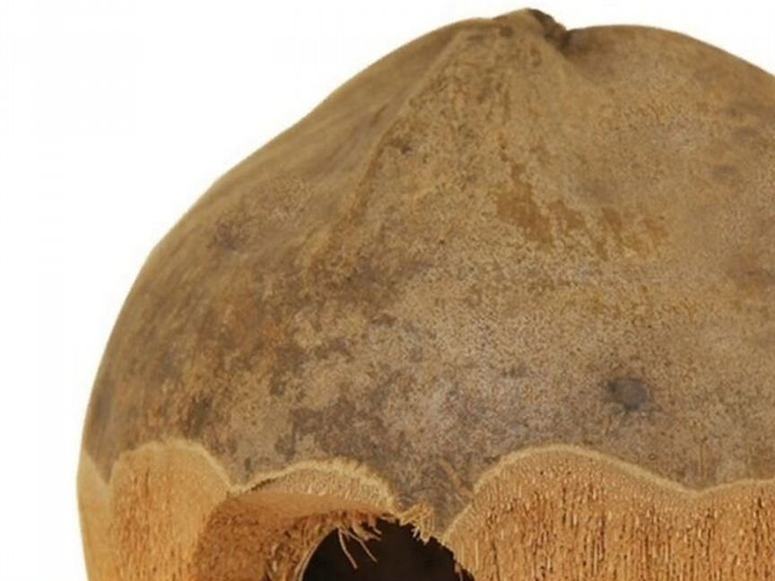 Домик natural для мелких животных из кокоса"Норка