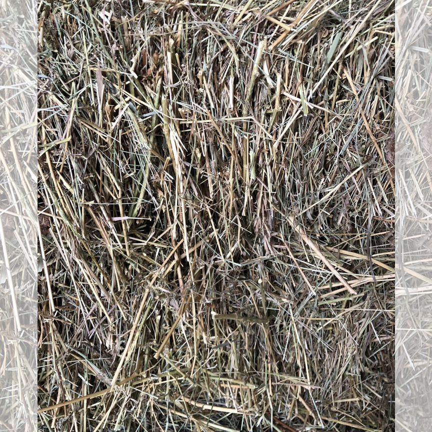 Сено в тюках