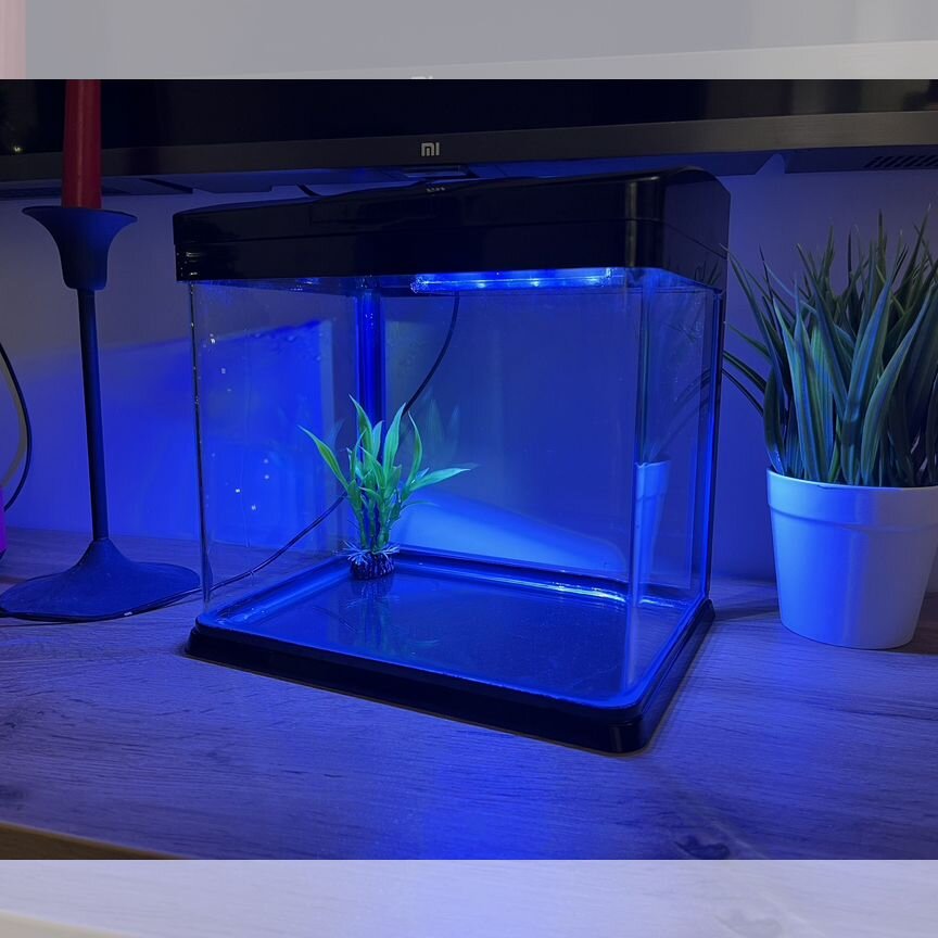 Аквариум Sea Star