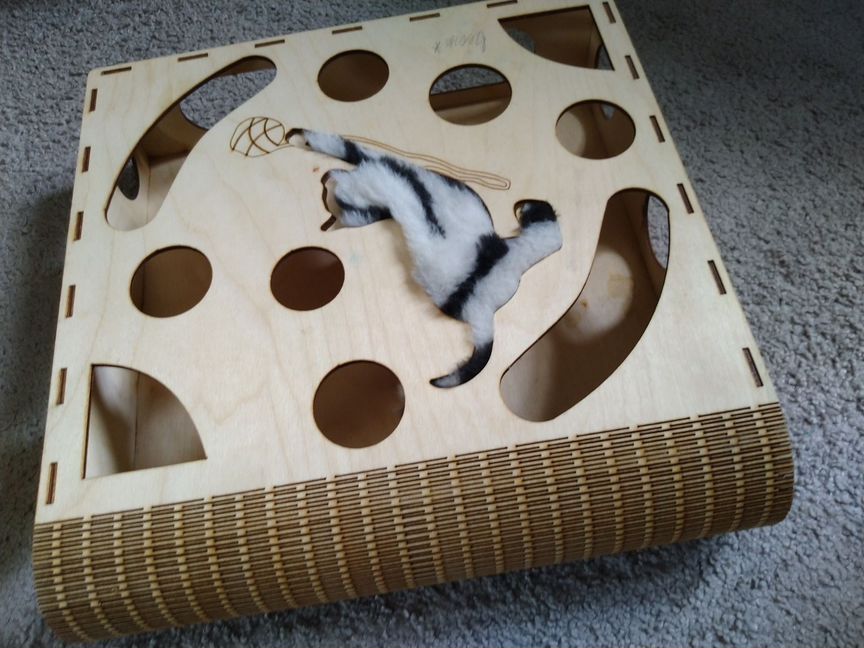 Игрушка для кошек коробка с дырками