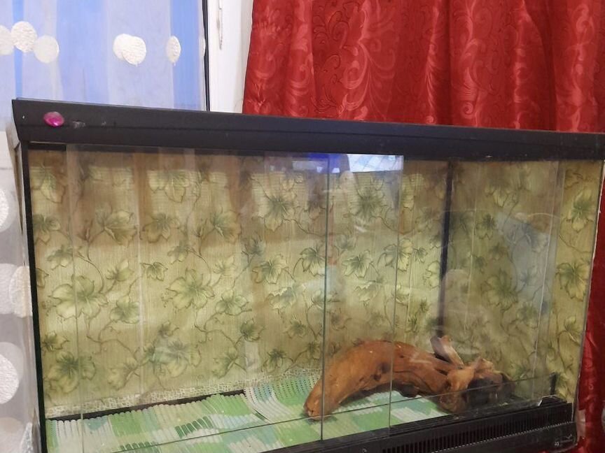 Террариум для ящериц