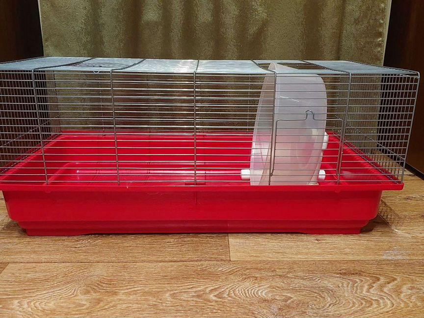 Клетка для грызунов бу