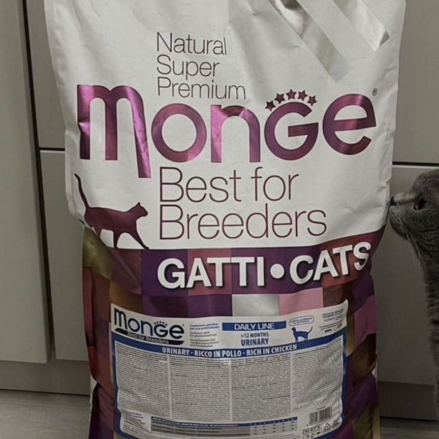 Корм для кошек monge urinary
